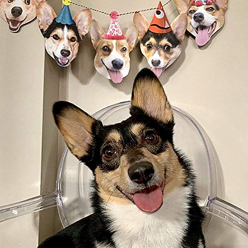 Corgis Garland, dog birthday party banner decoration, Made in USA, Best Quality