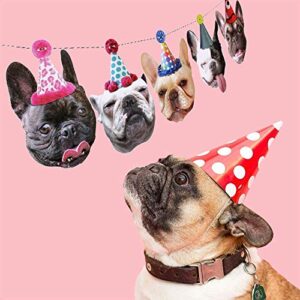 French Bulldog Garland, frenchie dog birthday party decoration banner, Made in USA, Best Quality