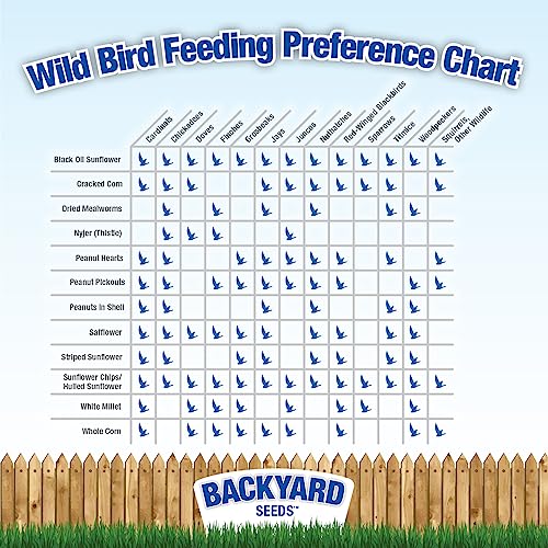 Backyard Seeds White Millet Bird Seed for Finches 8 Pounds (8 Pounds)