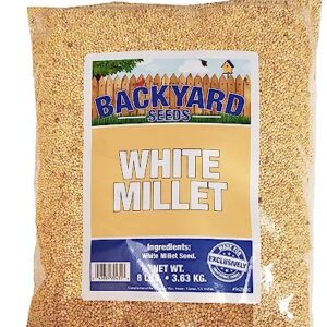 Backyard Seeds White Millet Bird Seed for Finches 8 Pounds (8 Pounds)