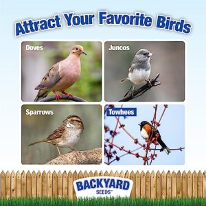 Backyard Seeds White Millet Bird Seed for Finches 8 Pounds (8 Pounds)