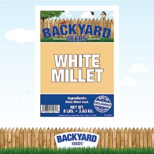 Backyard Seeds White Millet Bird Seed for Finches 8 Pounds (8 Pounds)