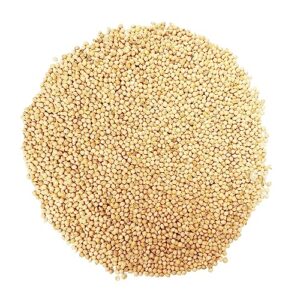 Backyard Seeds White Millet Bird Seed for Finches 8 Pounds (8 Pounds)