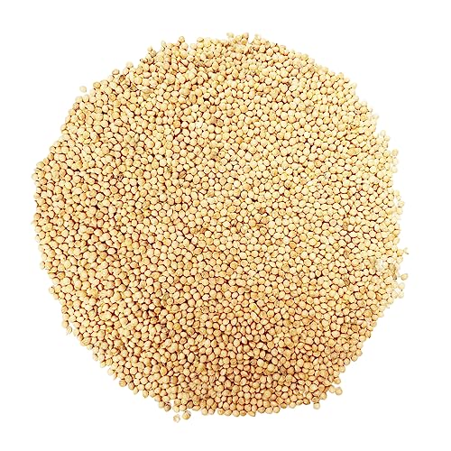 Backyard Seeds White Millet Bird Seed for Finches 8 Pounds (8 Pounds)