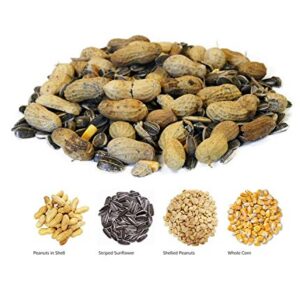 Backyard Seeds Squirrel, Deer Feed & Wildlife Mix 20 Pounds