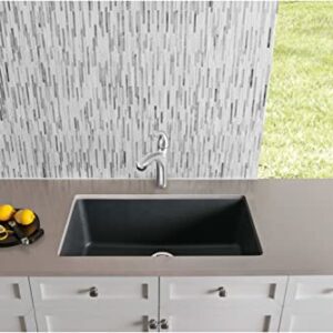 Blanco 442098 - Kitchen Sink Fixture