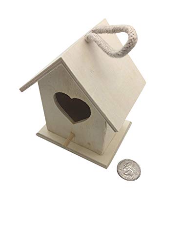 Oojami Design Your Own Wooden Birdhouses 12 Bird House Bulk (Modern)