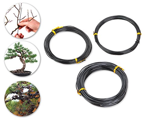 3 Pieces 10m Bonsai Wire Craft Aluminium Wire Bonsai Training Tools - Black (1.0 mm / 1.5 mm / 2.0 mm, 10m for Each Size)