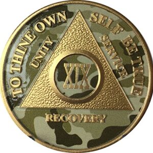 19 Year AA Medallion Camo Gold Plated Anniversary Chip Camouflage Color