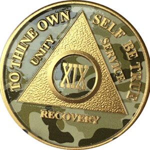 19 Year AA Medallion Camo Gold Plated Anniversary Chip Camouflage Color