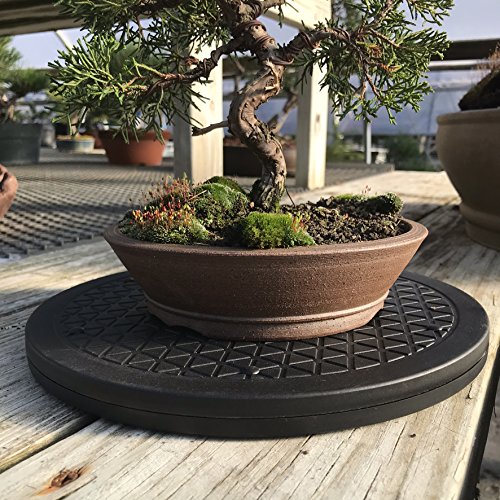 Mighty Mini Bonsai Tree Turntable 10" Base Stainless Steel High Quality Low Cost 200-Pound Capacity 360-Degree Rotation Allows Easy Pruning Or Great Bonsai Tree Displays