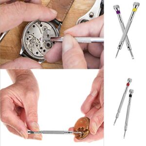 Micro Precision Jewelry Screwdriver Set - 5 PCS Screwdrivers with 5 Extra Replace Blades for Watch Repair,Eyeglasses Repair,Jewelry Work,Electronics Repair