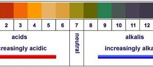 Litmus pH Test Strips | (pH 1-14), Universal Indicator, 2 Packs of 100 Strips. Test and Track Your Water, Diet, Saliva, Pool, Aquarium, Urine, and Soil.