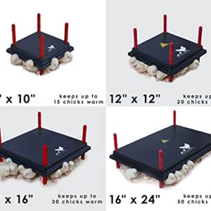 RentACoop Chick Brooder Heating Plate - Brooder Heat Plate Warms Up to 30 Chicks - Chick Heater with 25 Adjustable Heights and 42 Watts - Safer Alternative to Heat Lamps - 16" x 16"