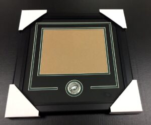 philadelphia eagles medallion frame kit 8x10 photo double mat horizontal