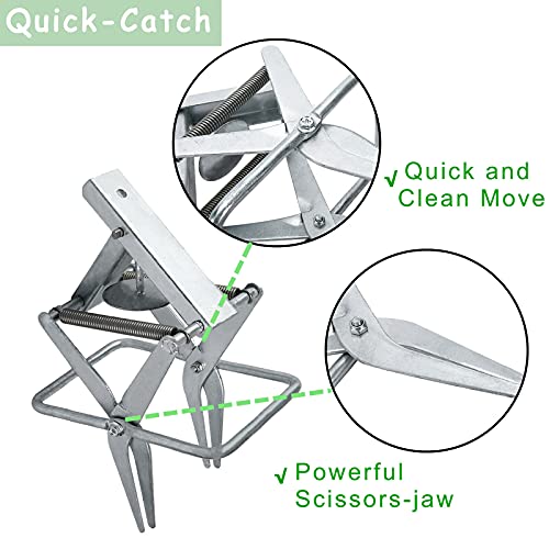 4 Easy Set Mole Trap 2416, Easy One-Step,Out-of-Sight,Galvanized Steel