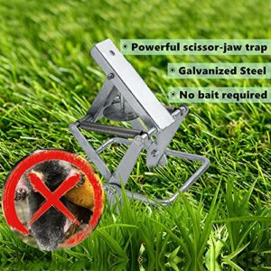 4 Easy Set Mole Trap 2416, Easy One-Step,Out-of-Sight,Galvanized Steel