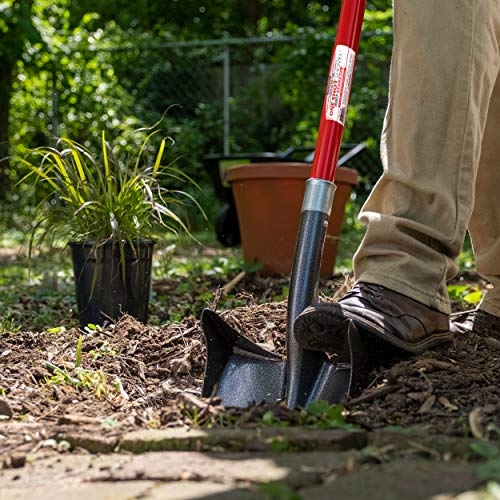 ROOT ASSASSIN One Shot Garden Shovel (43" D-Handle) - Holds More Than The Average Shovel, Back Wings Keep Dirt from Spilling Off The Back, Best for Yard Work, Gardening, Digging, Treasure Hunting