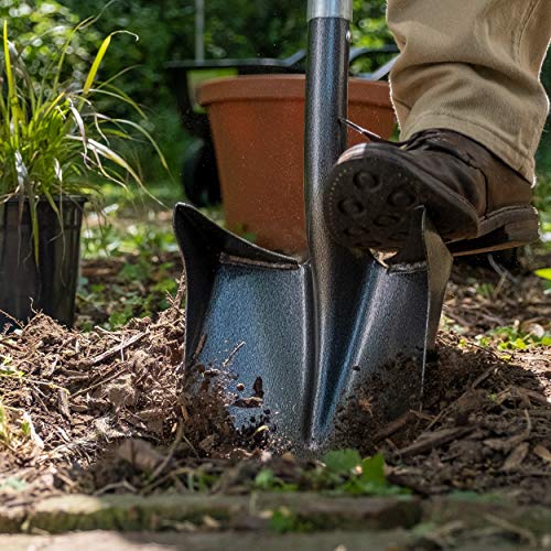 ROOT ASSASSIN One Shot Garden Shovel (43" D-Handle) - Holds More Than The Average Shovel, Back Wings Keep Dirt from Spilling Off The Back, Best for Yard Work, Gardening, Digging, Treasure Hunting