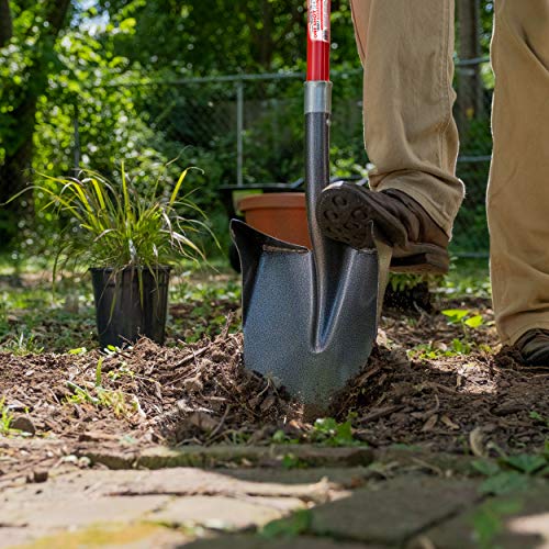 ROOT ASSASSIN One Shot Garden Shovel (43" D-Handle) - Holds More Than The Average Shovel, Back Wings Keep Dirt from Spilling Off The Back, Best for Yard Work, Gardening, Digging, Treasure Hunting