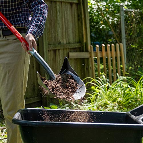 ROOT ASSASSIN One Shot Garden Shovel (43" D-Handle) - Holds More Than The Average Shovel, Back Wings Keep Dirt from Spilling Off The Back, Best for Yard Work, Gardening, Digging, Treasure Hunting