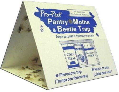 Pro-Pest Pantry Moth Traps - 8 Ready to Use Pre-baited Traps (4 Packs of 2 Traps)