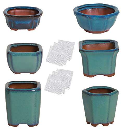 Happy Bonsai 6 pc Mini Glazed Pots Value Set + 6 Soft Mesh Drainage Screens