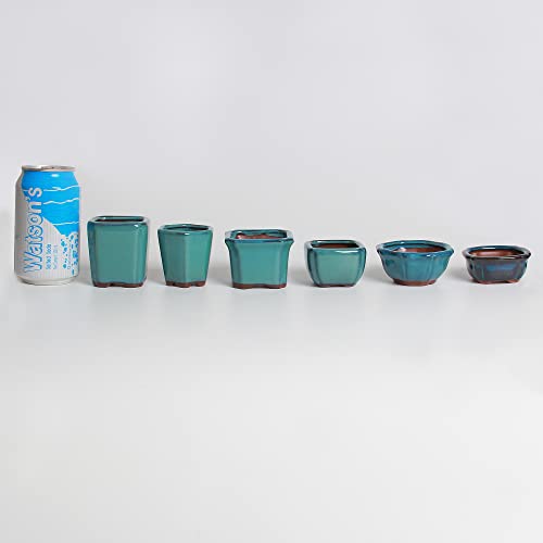 Happy Bonsai 6 pc Mini Glazed Pots Value Set + 6 Soft Mesh Drainage Screens