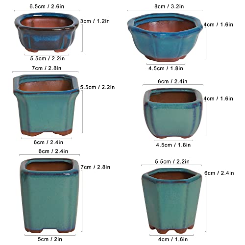 Happy Bonsai 6 pc Mini Glazed Pots Value Set + 6 Soft Mesh Drainage Screens