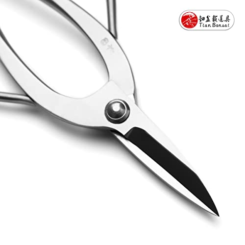 Bonsai Scissors Professional Grade Bonsai Shears Alloy Steel Bonsai Tools Equip With Tool Bag (MT-RBS-190)