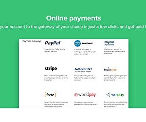 Zoho Invoice [Professional Subscription]