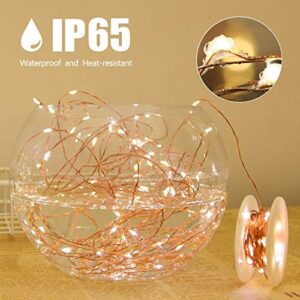 HSicily Fairy Lights Plug in, 33ft 100 LED Fairy Lights for Bedroom, Twinkle Lights with Remote Timer 8 Modes String Lights for Christmas Thanksgiving Patio Wedding Party Indoor Outdoor Decor