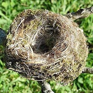 Alpaca Fiber Bird Nesting Ball with Refill Fiber - Comfort for your wildlife