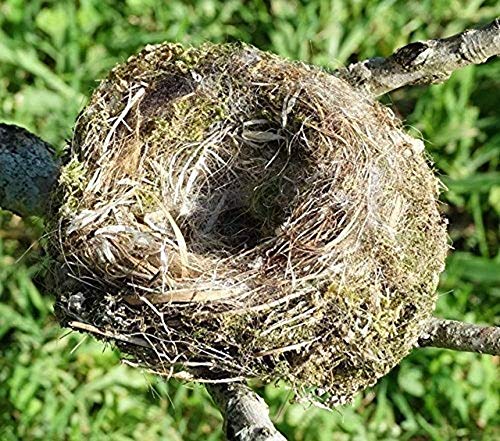 Alpaca Fiber Bird Nesting Ball with Refill Fiber - Comfort for your wildlife