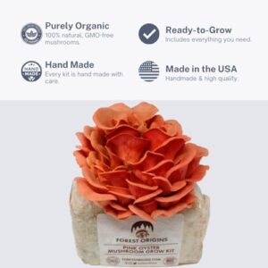 Forest Origins Pink Oyster Mushroom Grow Kit, Beginner Friendly & Easy to Use, Grows in 10 Days | Handmade in California, USA | Top Gardening Gift, Holiday Gift & Unique Gift