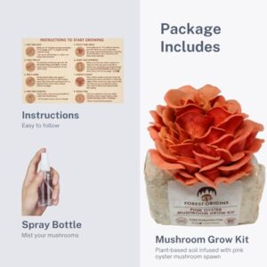 Forest Origins Pink Oyster Mushroom Grow Kit, Beginner Friendly & Easy to Use, Grows in 10 Days | Handmade in California, USA | Top Gardening Gift, Holiday Gift & Unique Gift