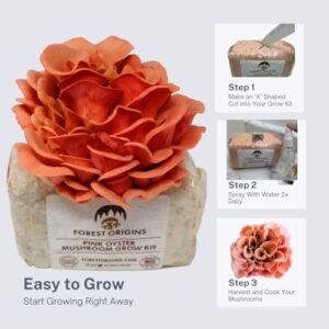 Forest Origins Pink Oyster Mushroom Grow Kit, Beginner Friendly & Easy to Use, Grows in 10 Days | Handmade in California, USA | Top Gardening Gift, Holiday Gift & Unique Gift