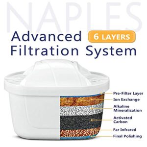 Naples Naturals EF Replacement Alkaline Filter for the EF Enhanced Flow Water Pitcher Filter 3-Pack