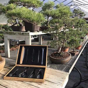 Tinyroots Bonsai Tools Package - Eleven Piece Carbon Steel Tool Kit, Bamboo Case