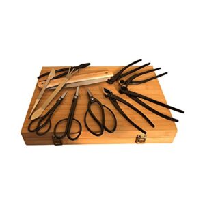 Tinyroots Bonsai Tools Package - Eleven Piece Carbon Steel Tool Kit, Bamboo Case