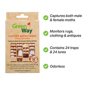 Greenway Clothes Moth Traps (24 Traps) - Moth Traps for Clothes Closets - Alternative to Cedar Balls and Moth Balls for Closet - Pheromone Attractant