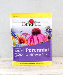 burpee wildflower 50,000 bulk, 1 bag | 18 varieties of non-gmo flower seeds pollinator garden, perennial mix