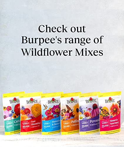 Burpee Wildflower 50,000 Bulk, 1 Bag | 18 Varieties of Non-GMO Flower Seeds Pollinator Garden, Perennial Mix