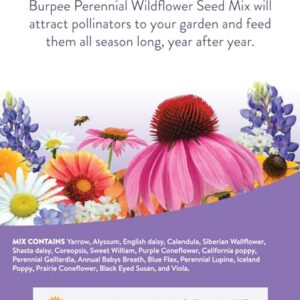 Burpee Wildflower 50,000 Bulk, 1 Bag | 18 Varieties of Non-GMO Flower Seeds Pollinator Garden, Perennial Mix