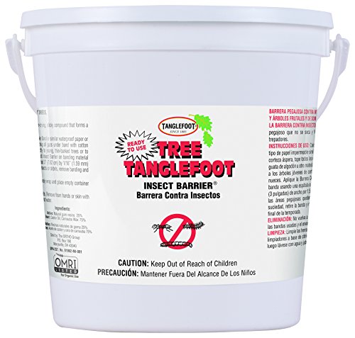 Tanglefoot Insect Barrier, 4.5 lb. Pail