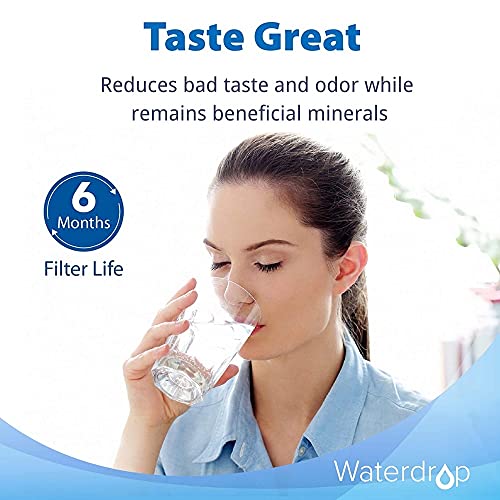 Waterdrop Countertop Water Filter, Replacement for AQ 4035, AQ 4025, Will Fit AQ4000, AQ4050, AQ4500 Drinking Water Systems