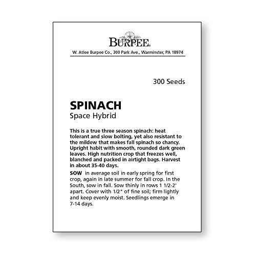 Burpee Space Hybrid Spinach Seeds 300 seeds