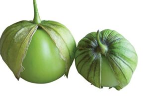 burpee gigante tomatillo seeds 160 seeds