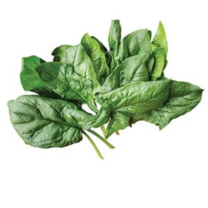 burpee a la carte hybrid spinach seeds 300 seeds