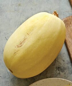 burpee vegetable spaghetti winter squash seeds 75 seeds